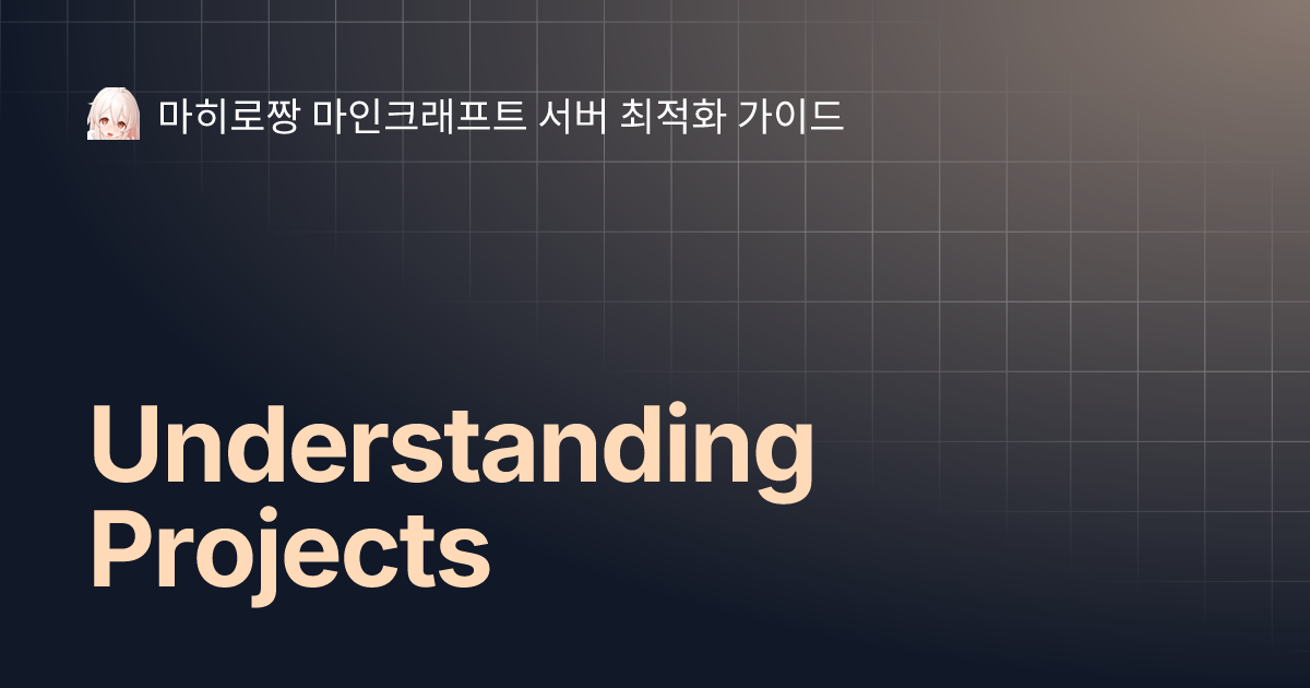 Understanding Projects | 마히로짱 마인크래프트 서버 최적화 가이드